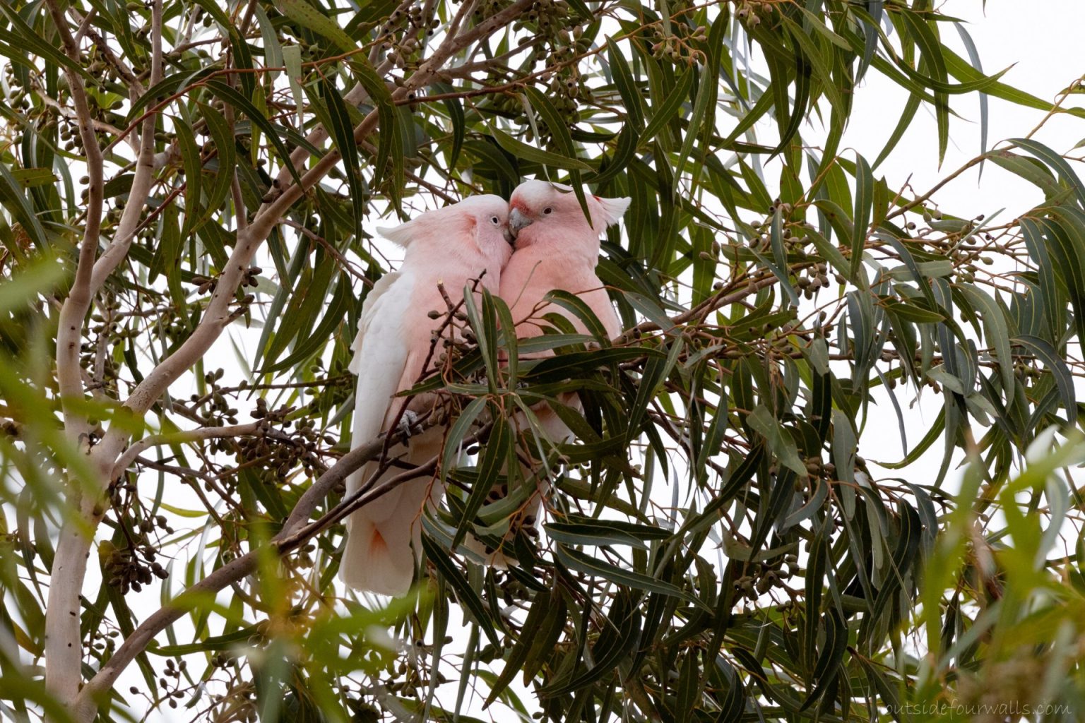 The Wimmera Mallee's Best Guided Tours - Visit Wimmera Mallee