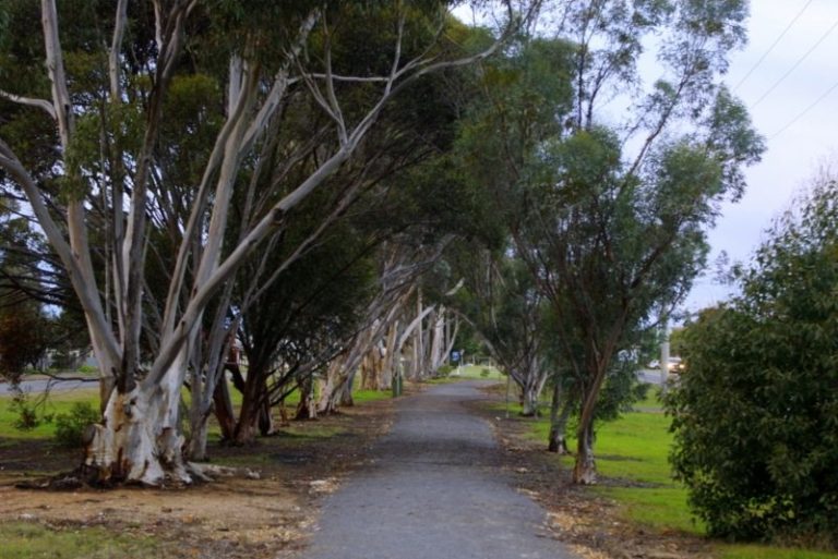 Walking Tracks in the Wimmera Mallee: A Local's Guide - Visit Wimmera ...