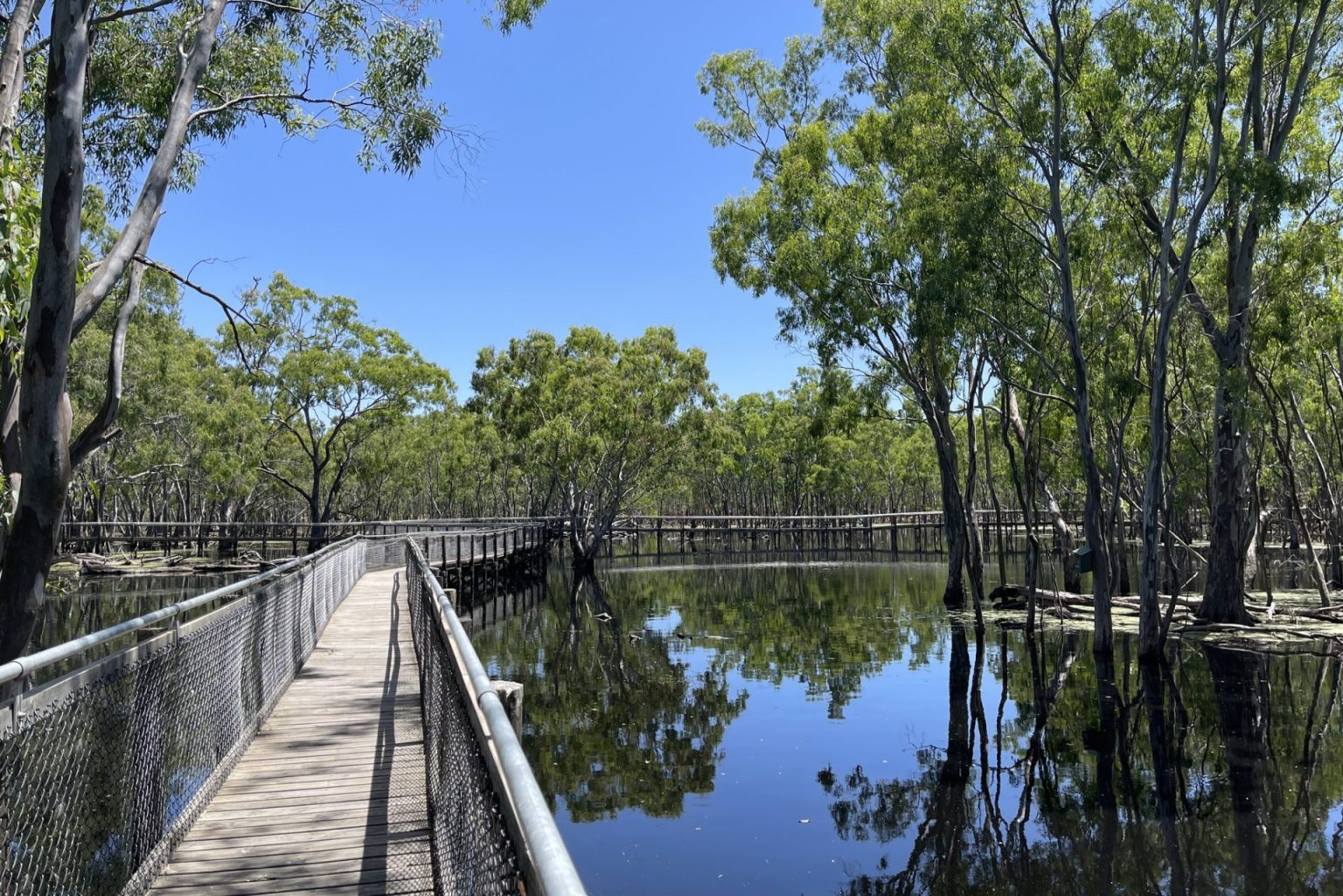 Walking Tracks in the Wimmera Mallee: A Local's Guide - Visit Wimmera ...