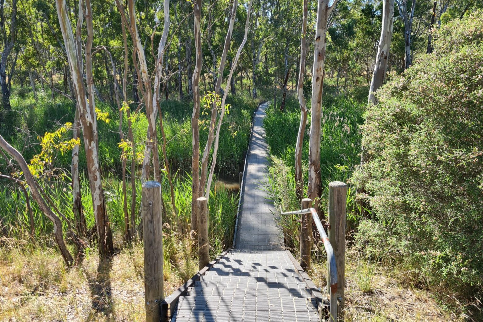 Walking Tracks in the Wimmera Mallee: A Local's Guide - Visit Wimmera ...
